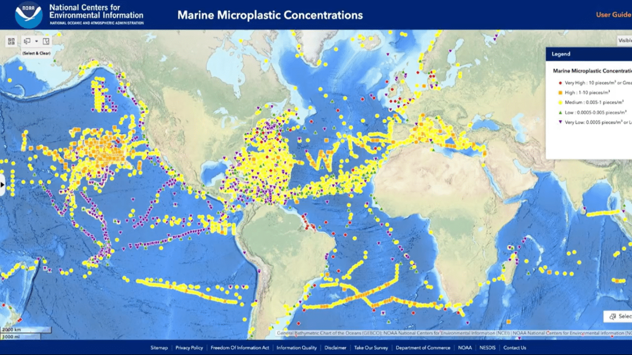 Mitigating Microplastics Risks to Advance Ocean Health