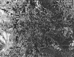 Application of satellite image date to large-scale water use system in ...